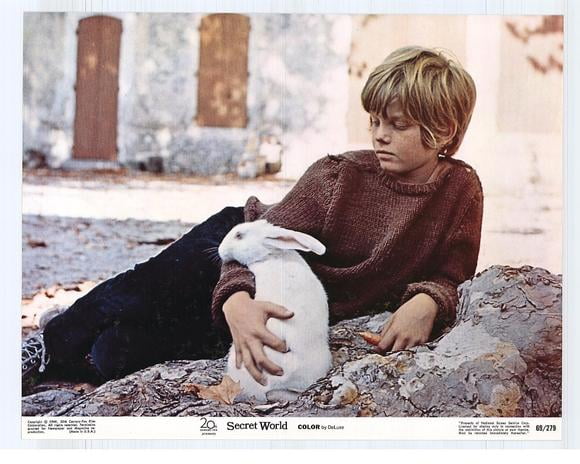 Secret World - movie POSTER (Style F) (11" x 14") (1969) - Walmart.com