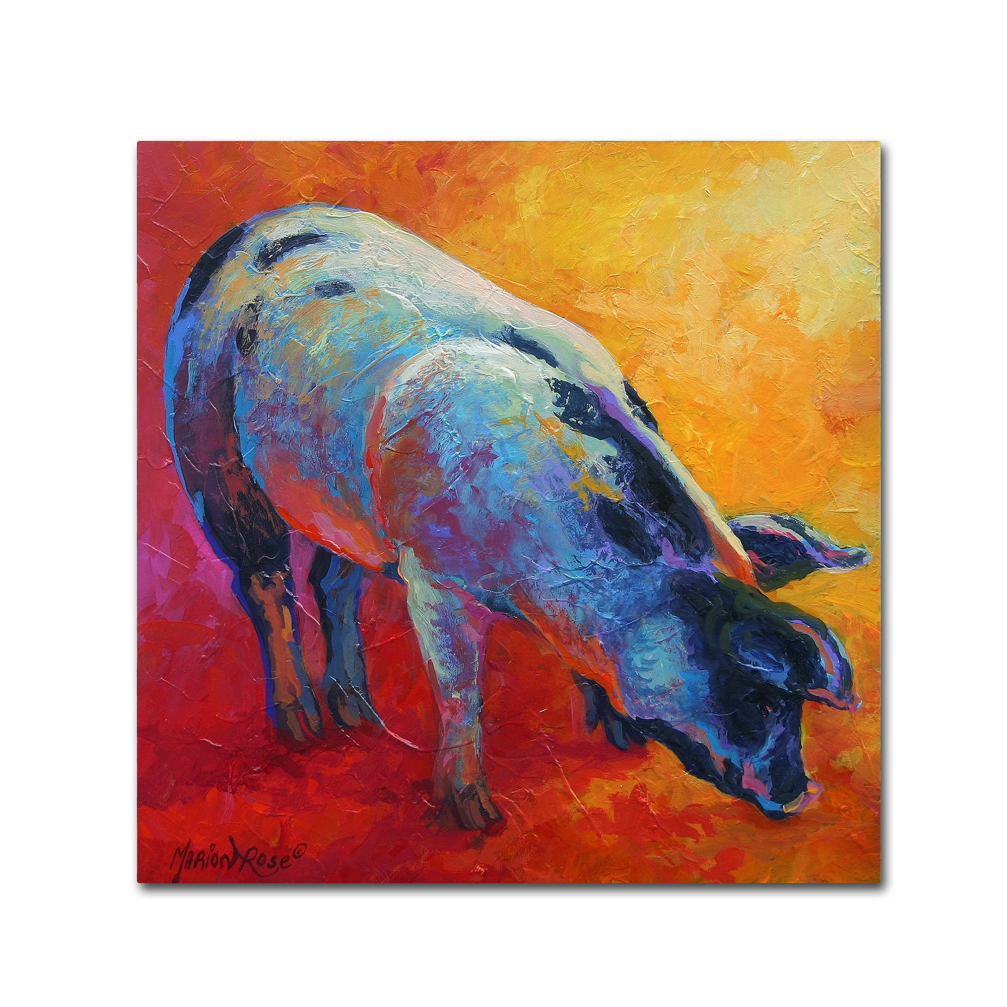 Trademark Fine Art 'Pig' Canvas Art by Marion Rose - Walmart.com
