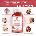 Lukaree Potassium Magnesium Gummies, 500mg Magnesium Glycinate, 200mg ...