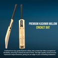 Bratla Bulls Kashmir Willow Cricket Bat Adult Scoop Design - Walmart.com