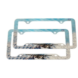 LP-2228 Illinois State Background Blanks Flat- Automotive License ...