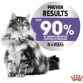 Royal Canin Appetite Control Cat Wet Food in Jelly 12x85g - Walmart.com
