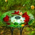 Outdoor Bird Bath, Solar Bird Bath, Red Bird Pattern, with Metal Stand ...