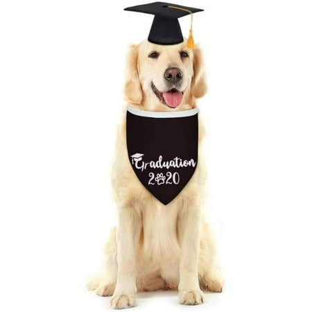 1 Set Dog Graducation Cap with Saliva Collar for Dogs Cats Graduation ...