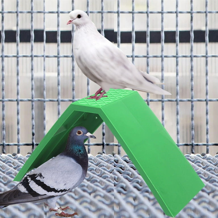 Pigeon Loft Perches