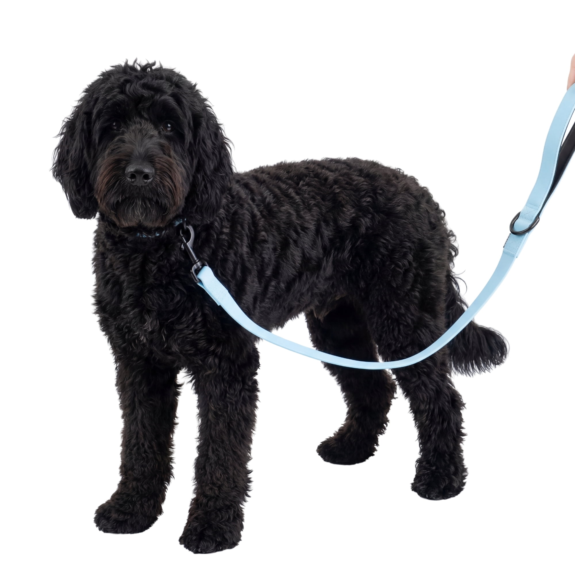 Click here for One Paw  Silicone Dog Leash With Wavy Lines Patter... prices