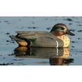 Greenhead Gear Life-Size Duck Decoy,Green-Winged Teal,1/2 Dozen ...