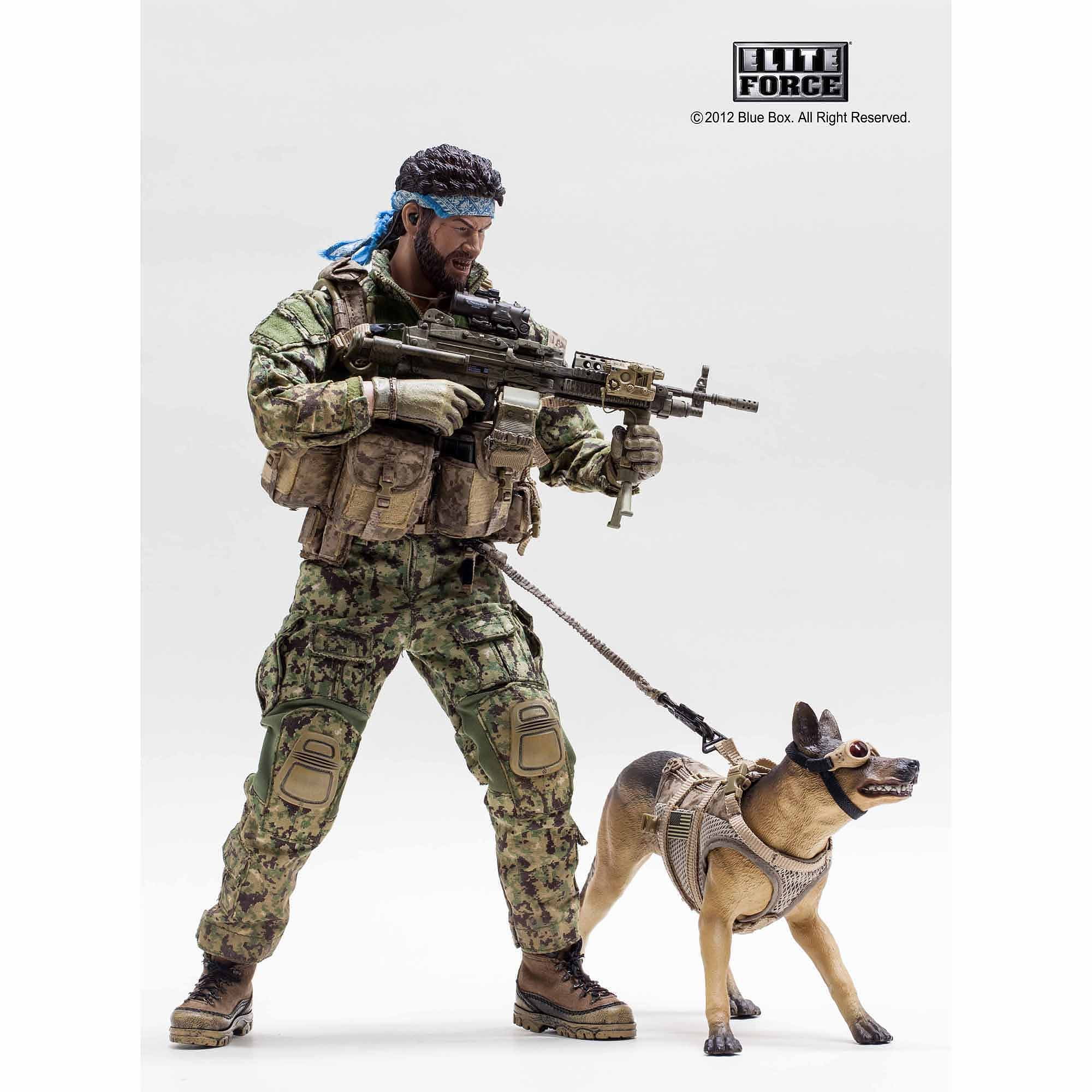 Seal Team 6 Devgru