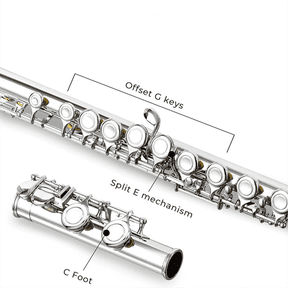 SalonMore Beginner C 16 Key Flute for Student with Case E Key,Silver ...