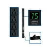 Tripp Lite PDUV15 12 Outlets 15' Power Distribution Unit - Walmart.com