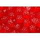 SweetGourmet Red Raspberries Gummi | Berry Red Raspberry | Bulk Candy ...