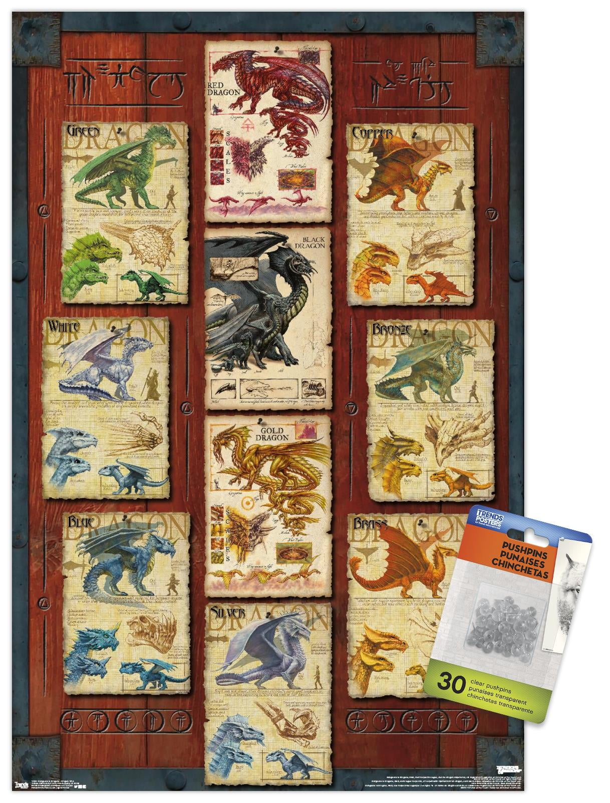 Dungeons and Dragons - Dragon Grid Wall Poster with Push Pins, 14.725 ...