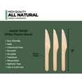 ICO Compostable Knives, [100 count] Wooden Knives, Biodegradable Knives ...