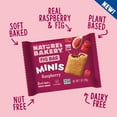 Nature’s Bakery Raspberry Fig Bar Minis, 60 Count - Walmart.com
