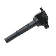 Delphi GN10114 Ignition Coil - Walmart.com