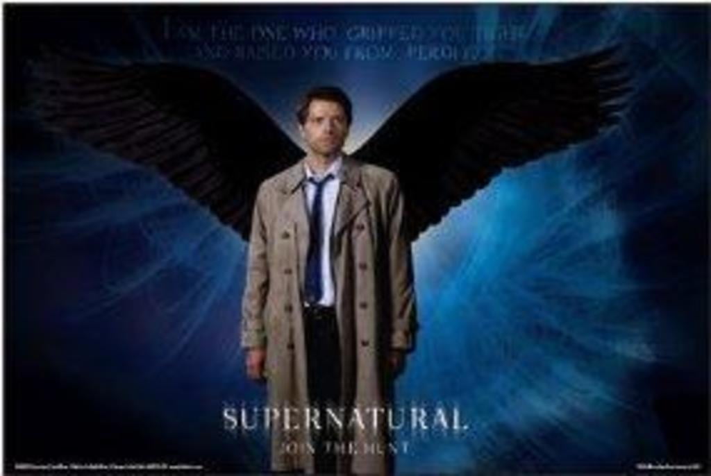 Castiel Wings