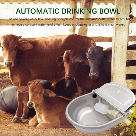 Automatic Cow Drinking Water Bowl Dispenser Stainless Steel Farm ...