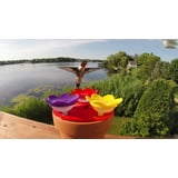 ZUMMR Easy Clean Outdoor Plastic Hummingbird Ring Feeder (Red ...