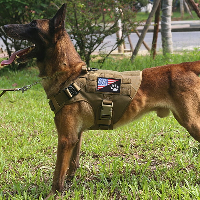 German Shepherd Military Dogs Vest