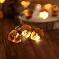 Thanksgiving Acorn String Lights for Fall Harvest Theme, Autumn ...