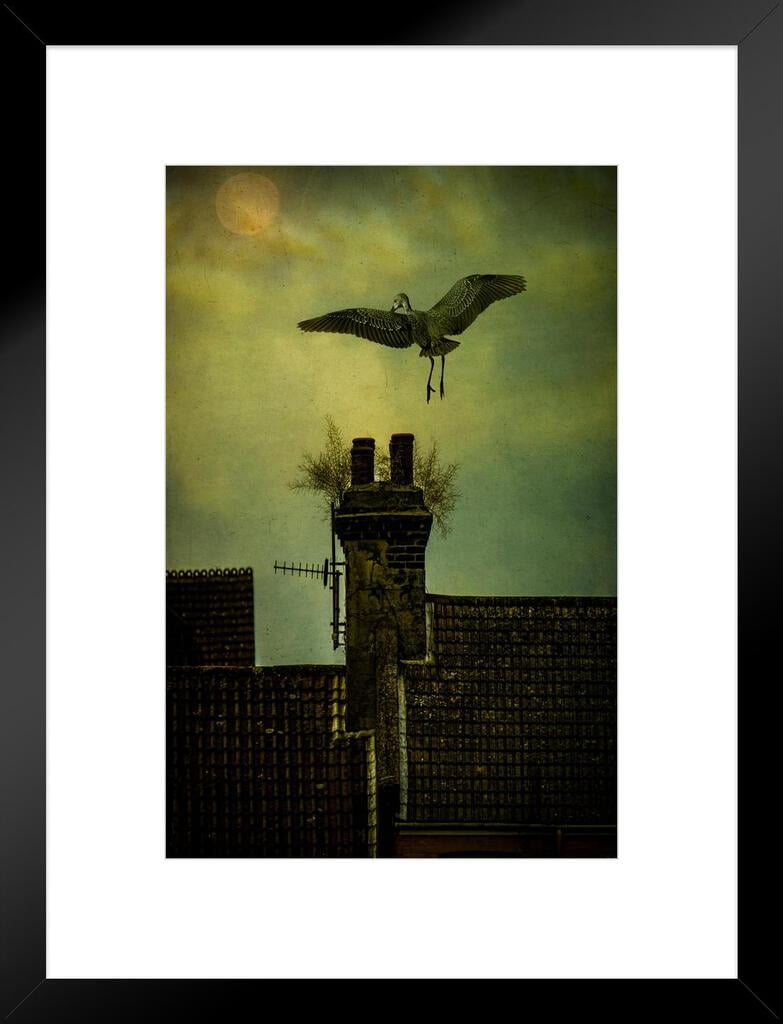 Chim Chim Cherie by Chris Lord Chimney Photo Stork Bird Pictures Wall ...