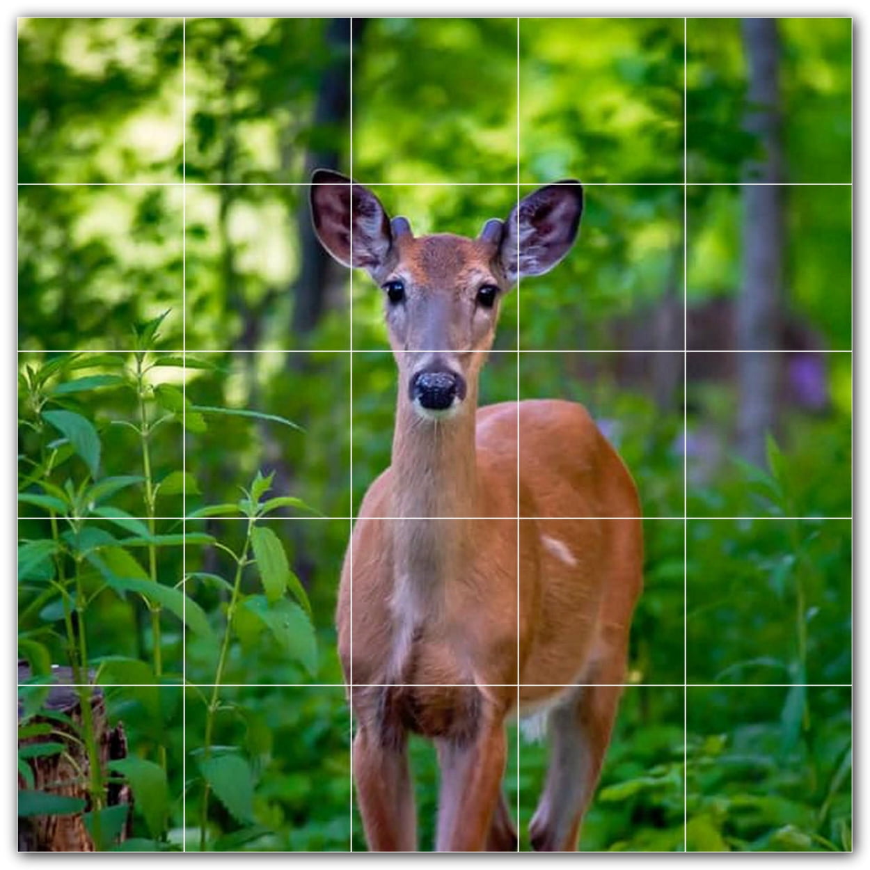 Picture-Tiles.com: Deer Ceramic Tile Wall Mural WAL500438-55XL. 60"W x ...