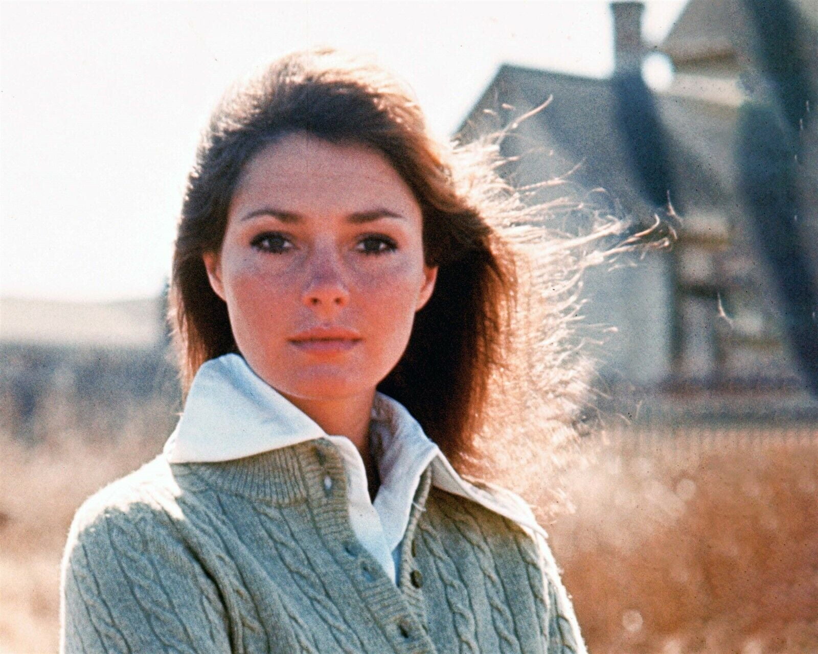 Jennifer O'Neill haunting portrait as Dorothy 1971 Summer of '42 11x17 ...