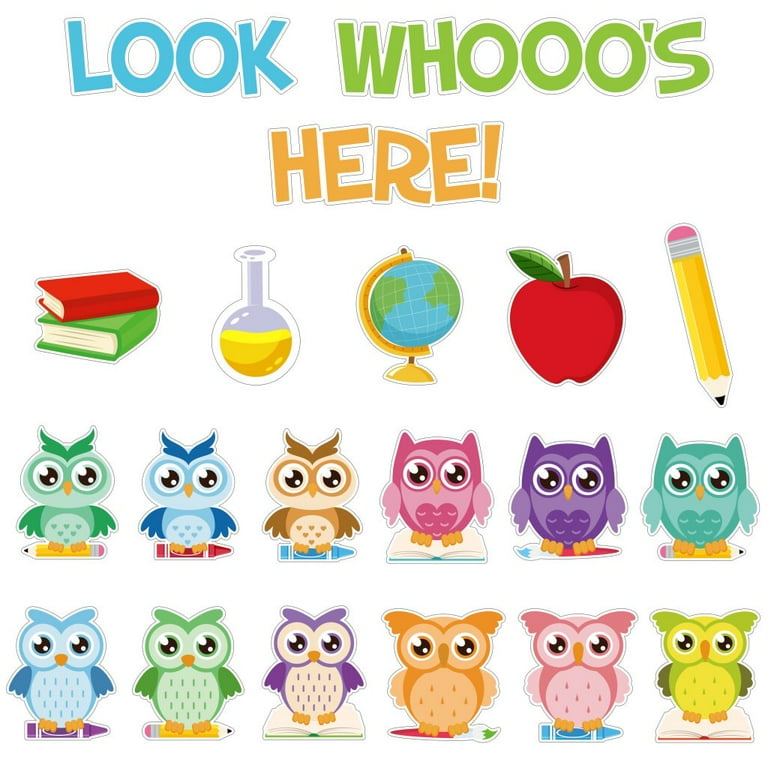 Cute Owl Classroom Decorations | Shelly Lighting