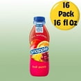 Snapple Fruit Punch All Natural Fruit Juice Drink, 16 fl oz, 16 Pack ...