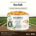 Belmont Peanuts Gourmet Sea-Salted DHF10 Virginia Peanuts, 25 oz | Only 3 Simple Ingredients, No ...