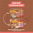 Purina Friskies Extra Gravy Chunky Wet Cat Food Variety Pack, Real Meat ...