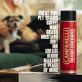Campanelli Stain Remover Aerosol 18oz, Carpet and Upholstery Spot ...