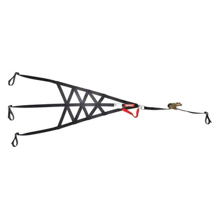 Racequip & Safequip RQP828008 Right Side SFI 37.1 Roll Cage Net, Black ...