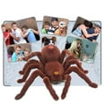 Realistic Remote Control Spider Prank Toy, Wireless RC Tarantula for ...