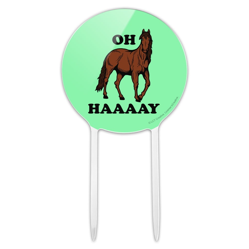Acrylic Oh Haaaay Horse Hay Hey Funny Humor Cake Topper Party ...
