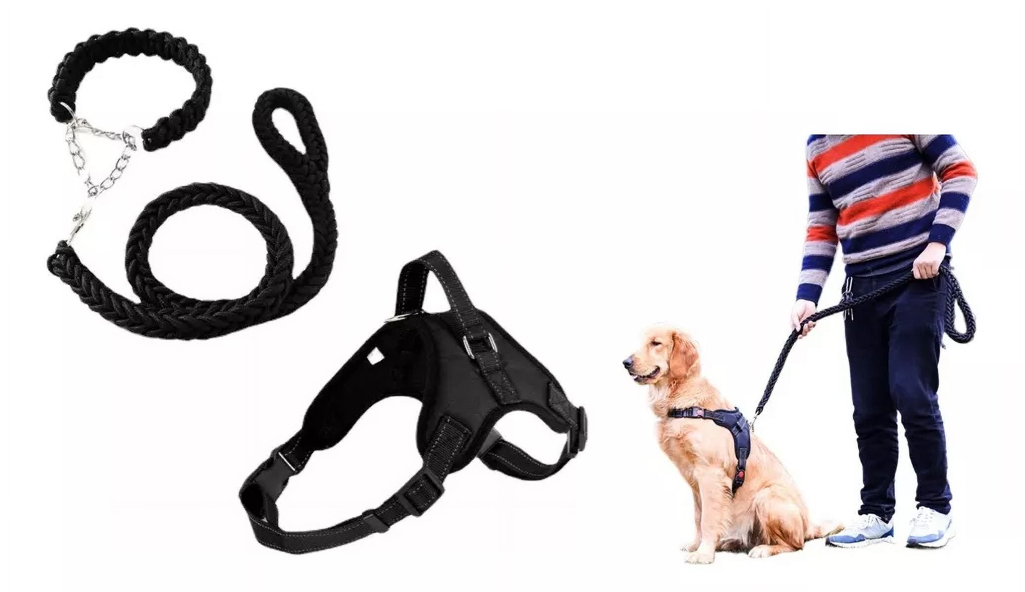 Pechera Para Perro Acolchonada Ajustable Con Correa 3 Pcs | Bodega ...