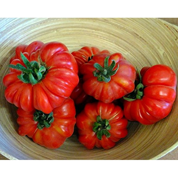 Genuwine Tomato Plant - An Heirloom Marriage™ Tomato - 3" Pot - Walmart.com