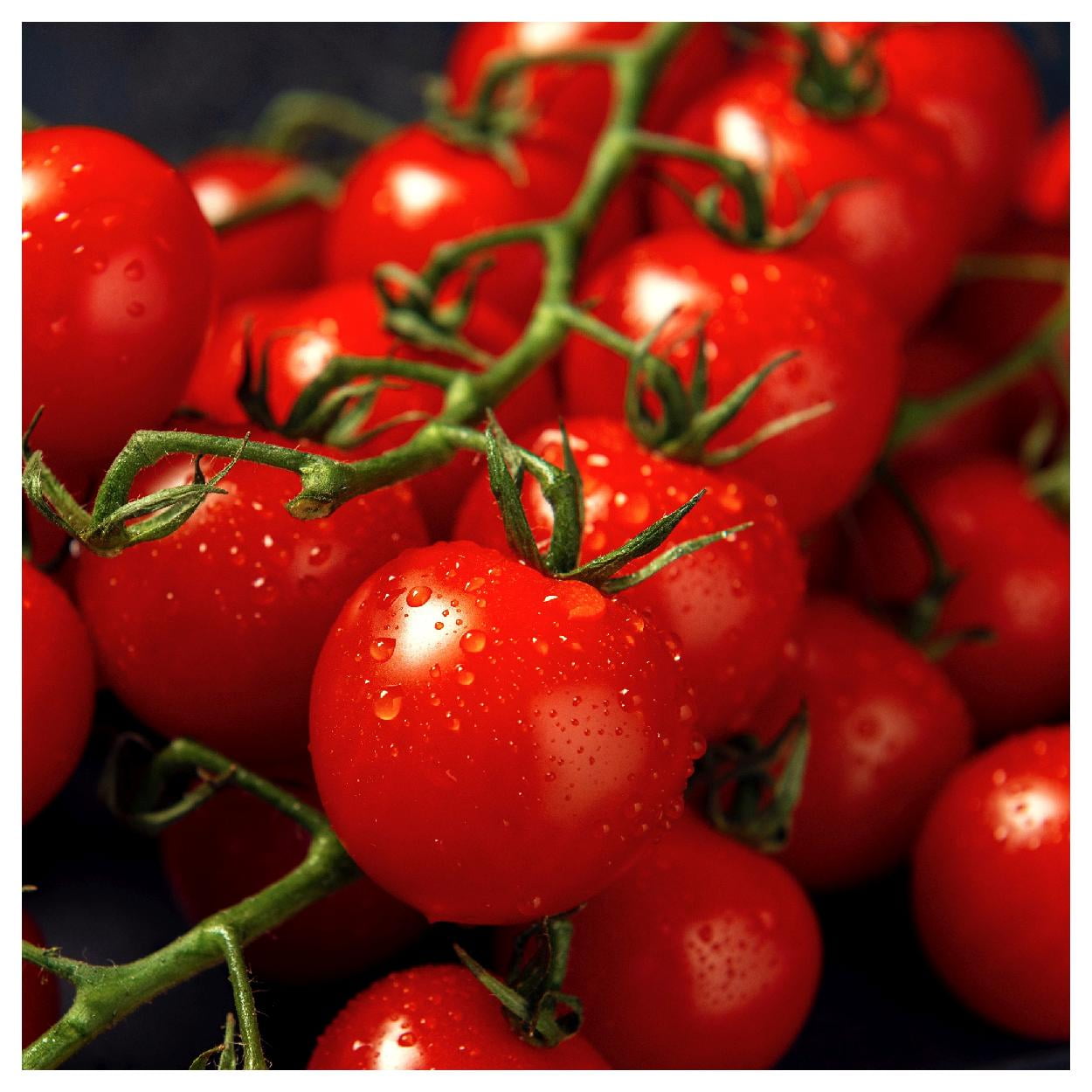 Everwilde Farms - 1 oz Riesentraube Heirloom Tomato Seeds - Gold Vault ...