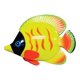 Poolmaster Jumbo Dive N Catch Fish Game for Swimming Pools - Walmart.com