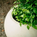Ash & Ember Onyx 24" D Ceramic Indoor Outdoor Round Sphere Planter ...