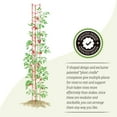 Stacking Tomato Ladders Set of 6 - Walmart.com