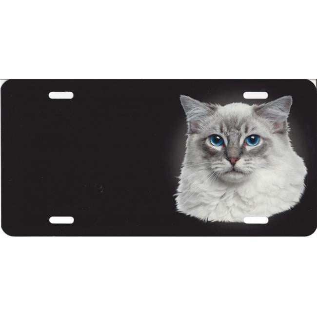 212 Main T3359Z 6 x 12 in. Ragdoll Offset Cat License Plate - Walmart.com