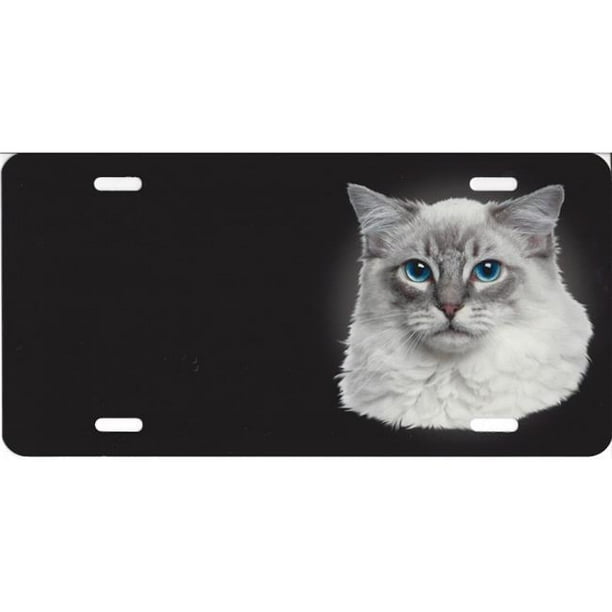 212 Main T3359Z 6 x 12 in. Ragdoll Offset Cat License Plate - Walmart.com