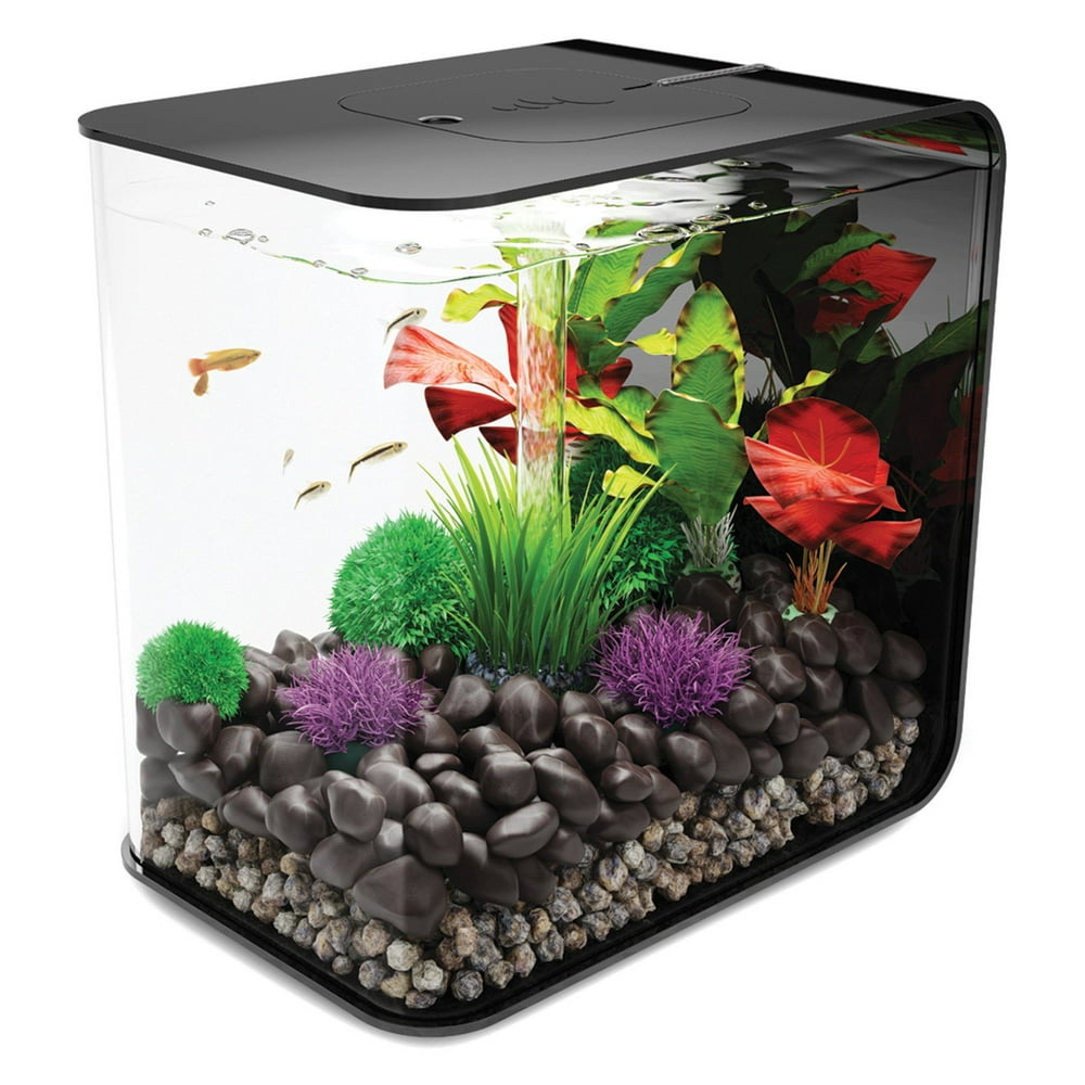 biOrb by Oase Flow 8 Gallon Aquarium - Walmart.com - Walmart.com
