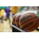 Wilson Evolution Official Game Basketball - 29.5" - Walmart.com