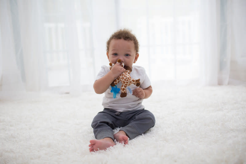 Dr. Brown’s Lovey Pacifier and Teether Holder with HappyPaci Silicone ...