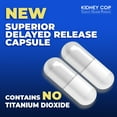 KIDNEY C.O.P. Patented Kidney Supplement for Calcium Oxalate Stone ...