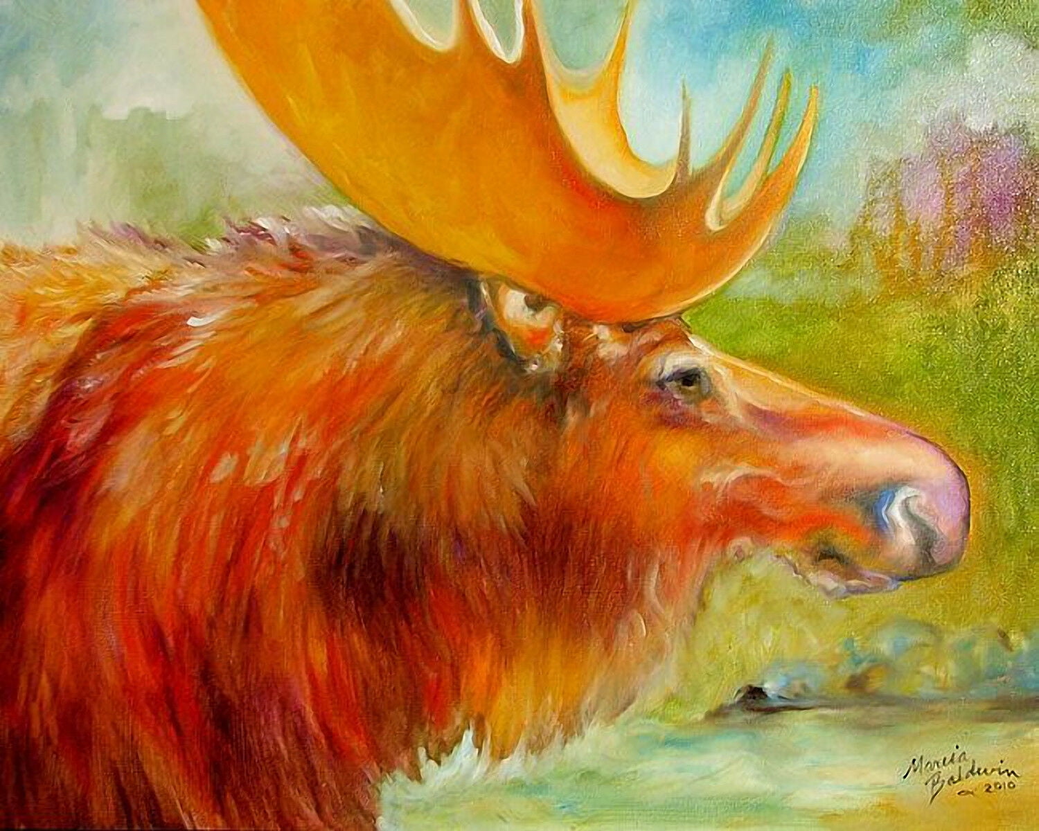 MOOSE STUDY POP ART - CANVAS OR PRINT WALL ART - Walmart.com