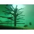 MossBack Fish Habitat Dock Pro Kit, Fish Habitat Structure for Lakes ...