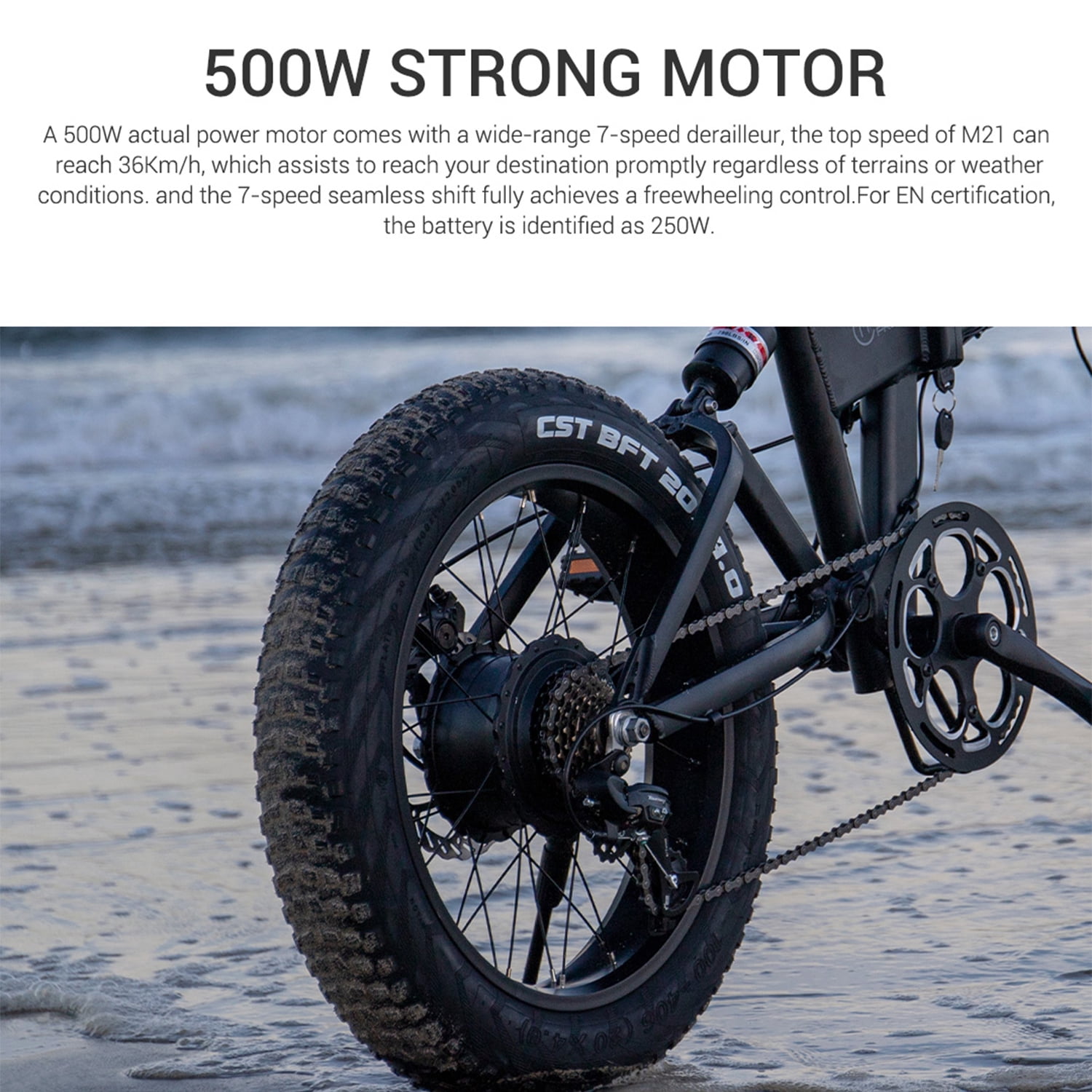 Buy FIIDO M21 Fat Tire Electric Bike 500W Motor, 7 Speed E Bikes for Adults Electric Bicycles ...